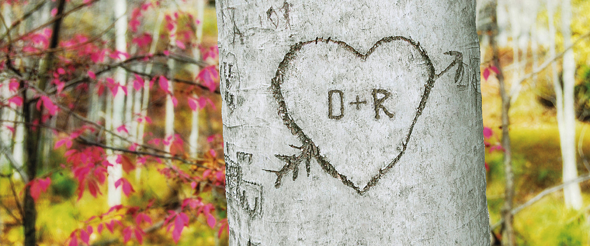 COME VI PIACE - Chiari di Luna | Palcoscenico a cielo aperto